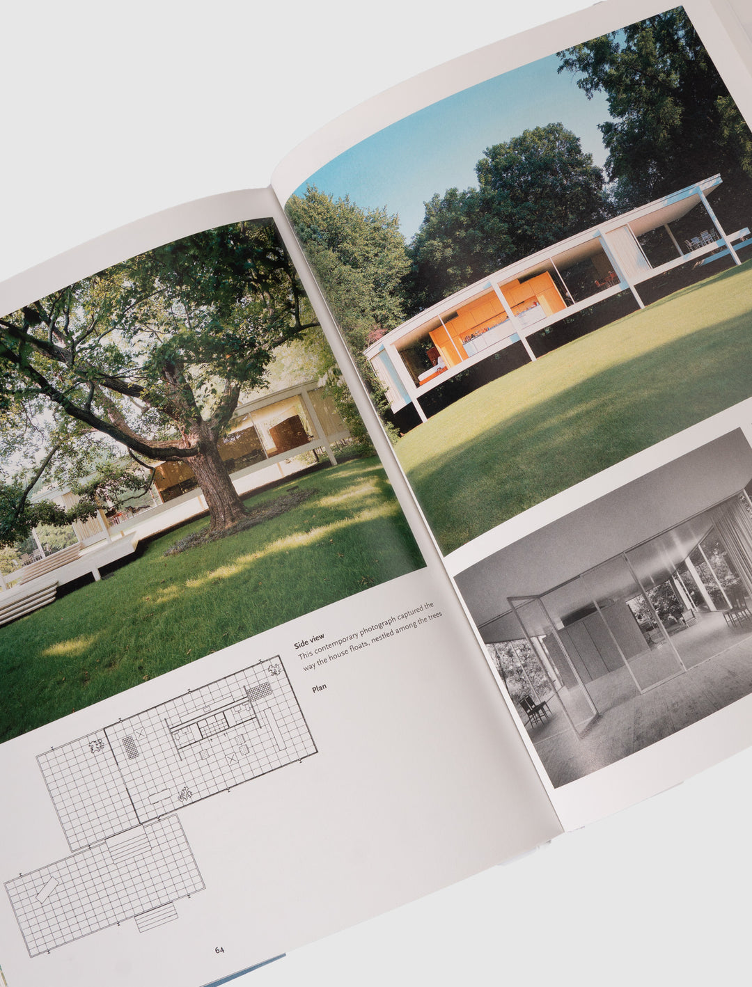 MIES VAN DER ROHE BY CLAIRE ZIMMERMAN – Social Status
